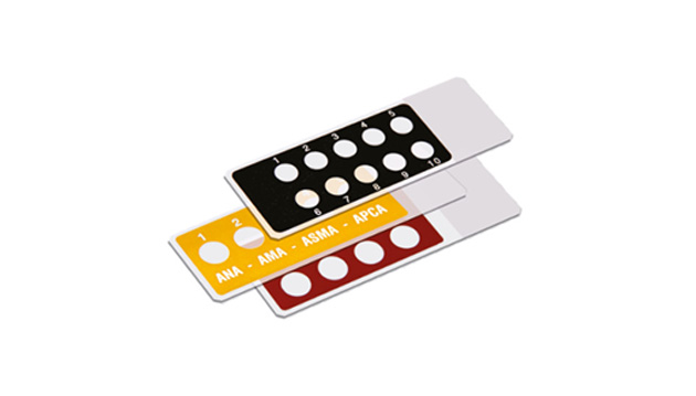Microscopic printed slides – immuno-cell.com