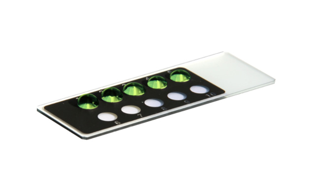 immuno-cell.com – Excellence in slides and cards for your test kits.